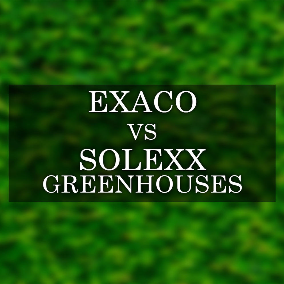 Read Our Greenhouse Blogs | Buying Tips & Insights — Backyard Oasis