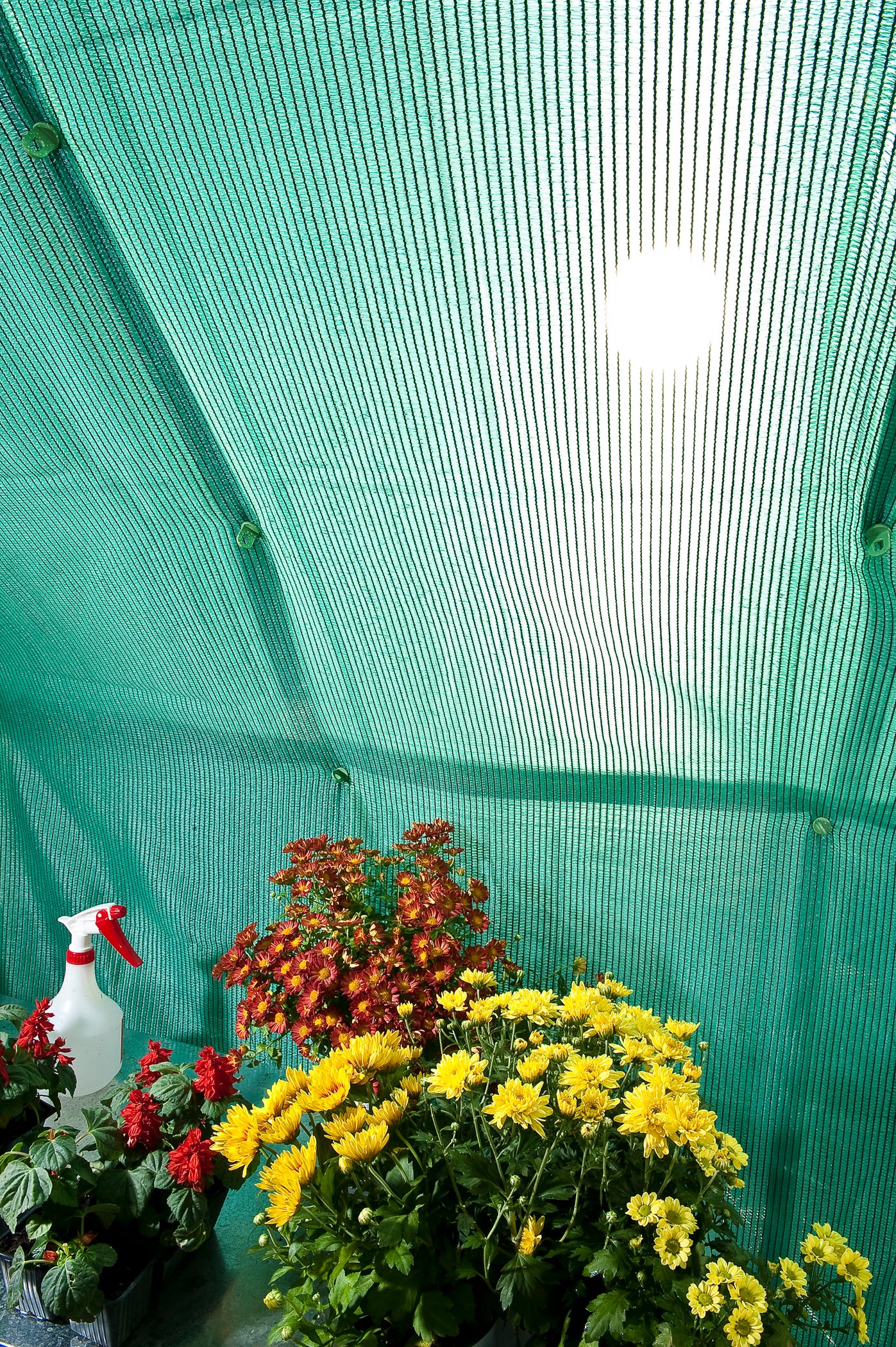 Enhance Plant Growth with Canopia Greenhouse Shade Cloth Kit - Ultimate ...