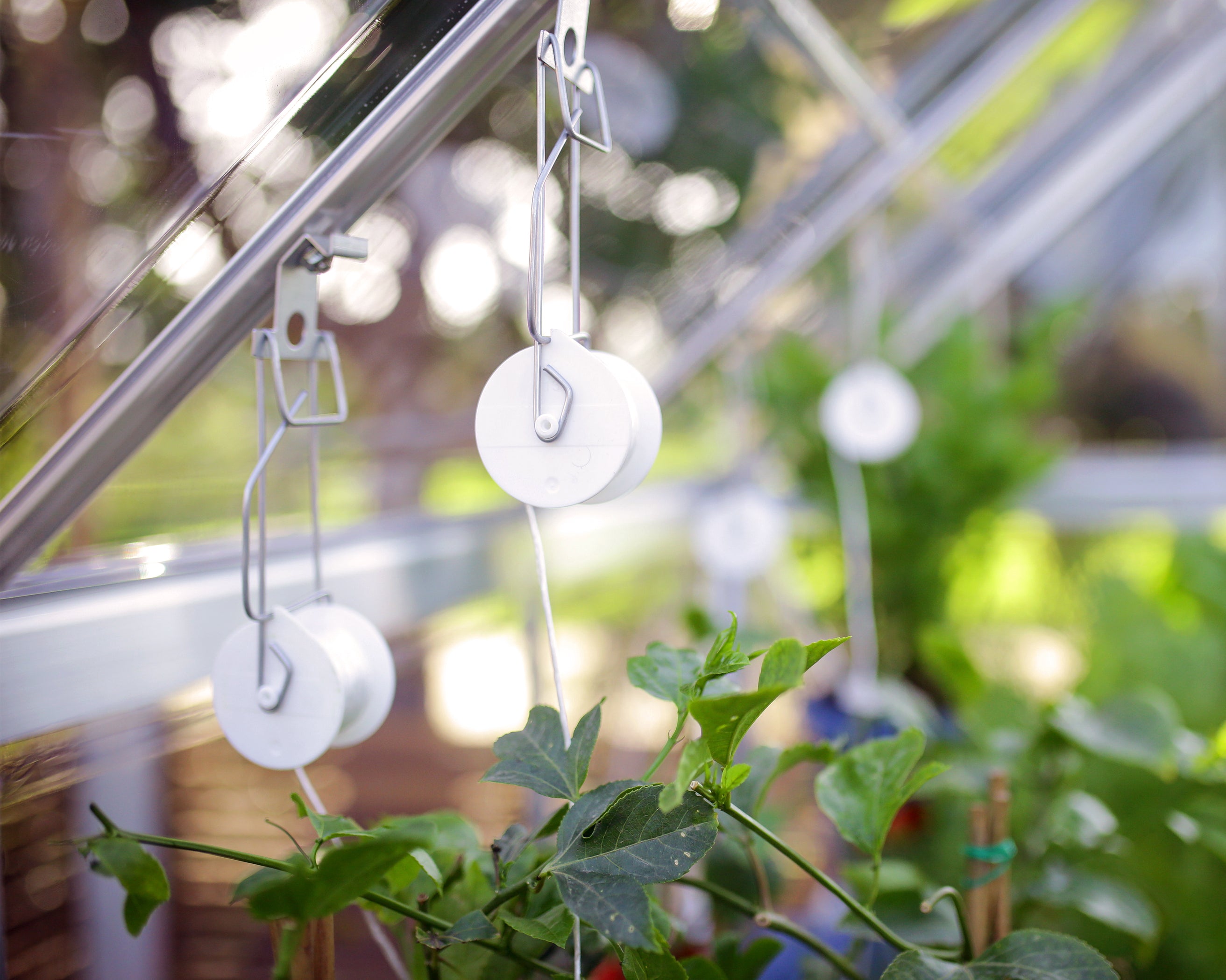 Canopia Greenhouse Trellising Kit - Maximize Growth in Your Greenhouse ...