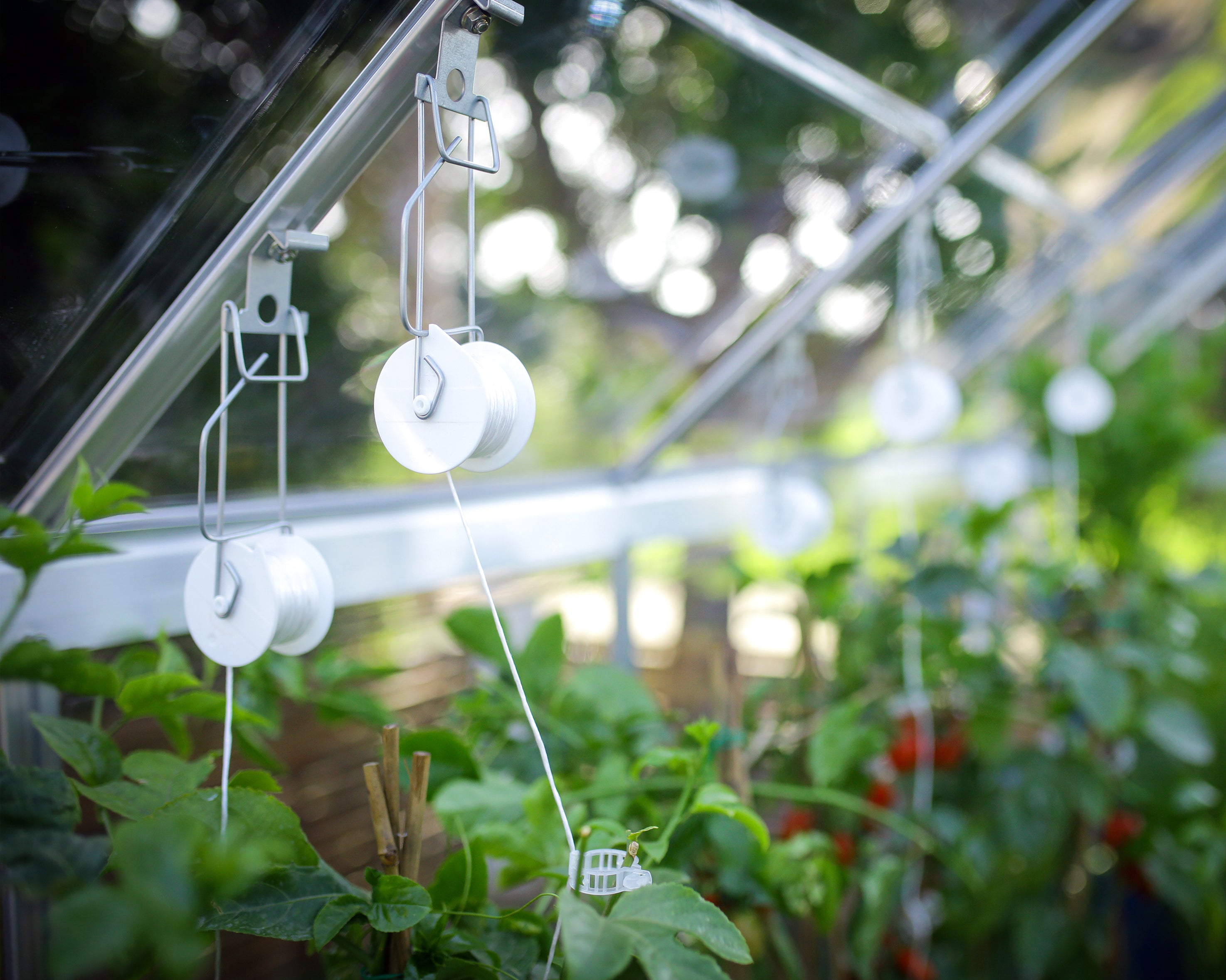 Canopia Greenhouse Trellising Kit - Maximize Growth in Your Greenhouse ...