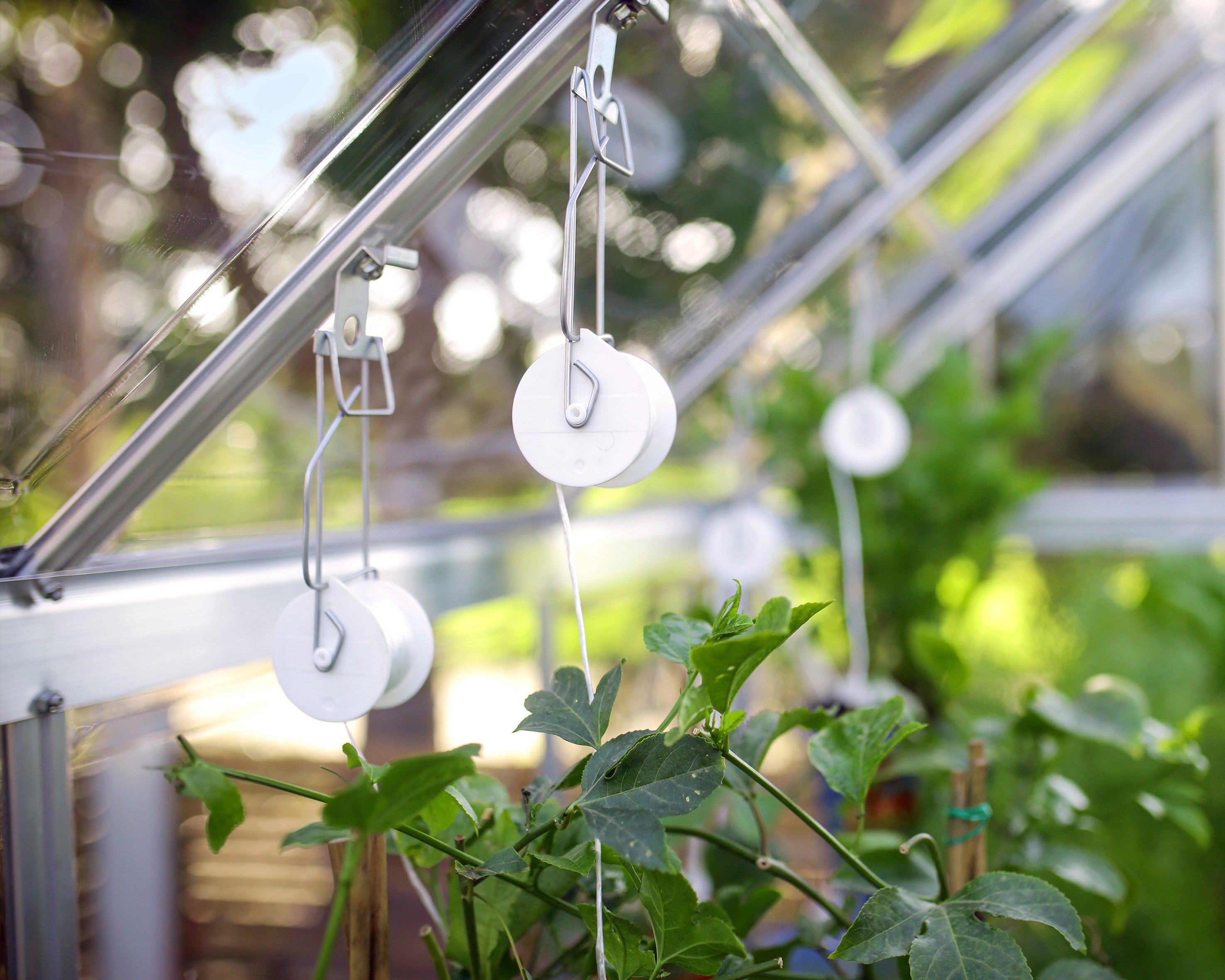 Canopia Greenhouse Trellising Kit - Maximize Growth in Your Greenhouse ...