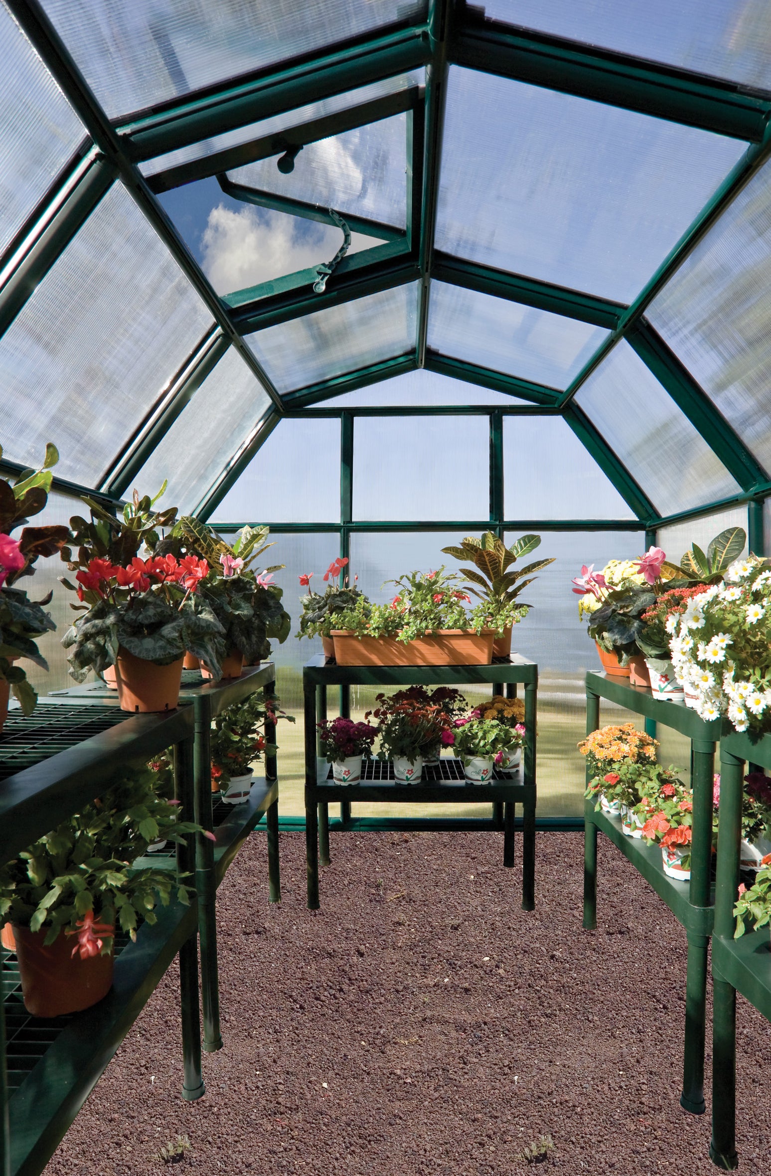 Elevate Your Greenhouse with the Canopia Two Tier Staging Work Bench ...