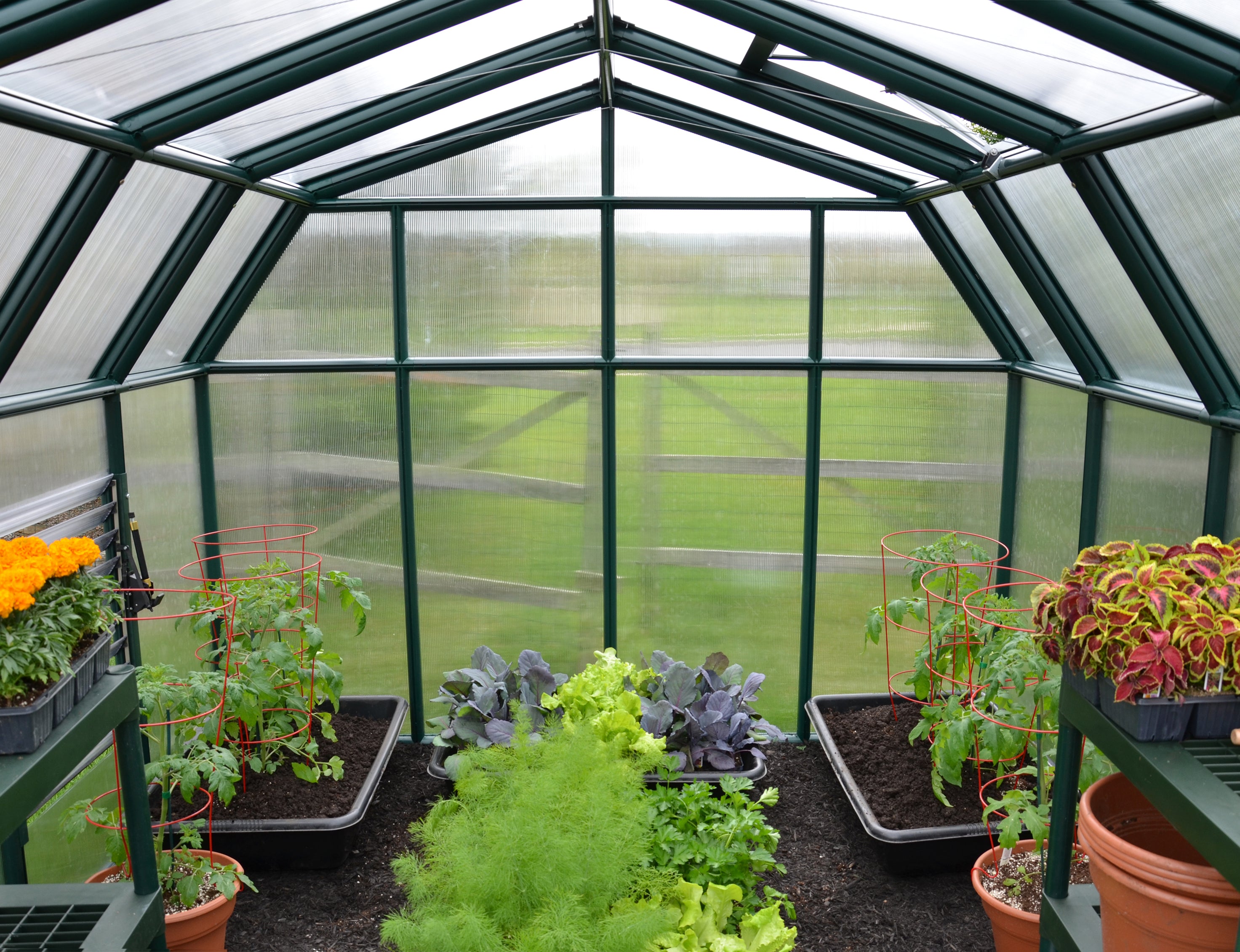 Canopia Hobby Gardener 8' Greenhouse - Grow with Confidence and Beauty ...