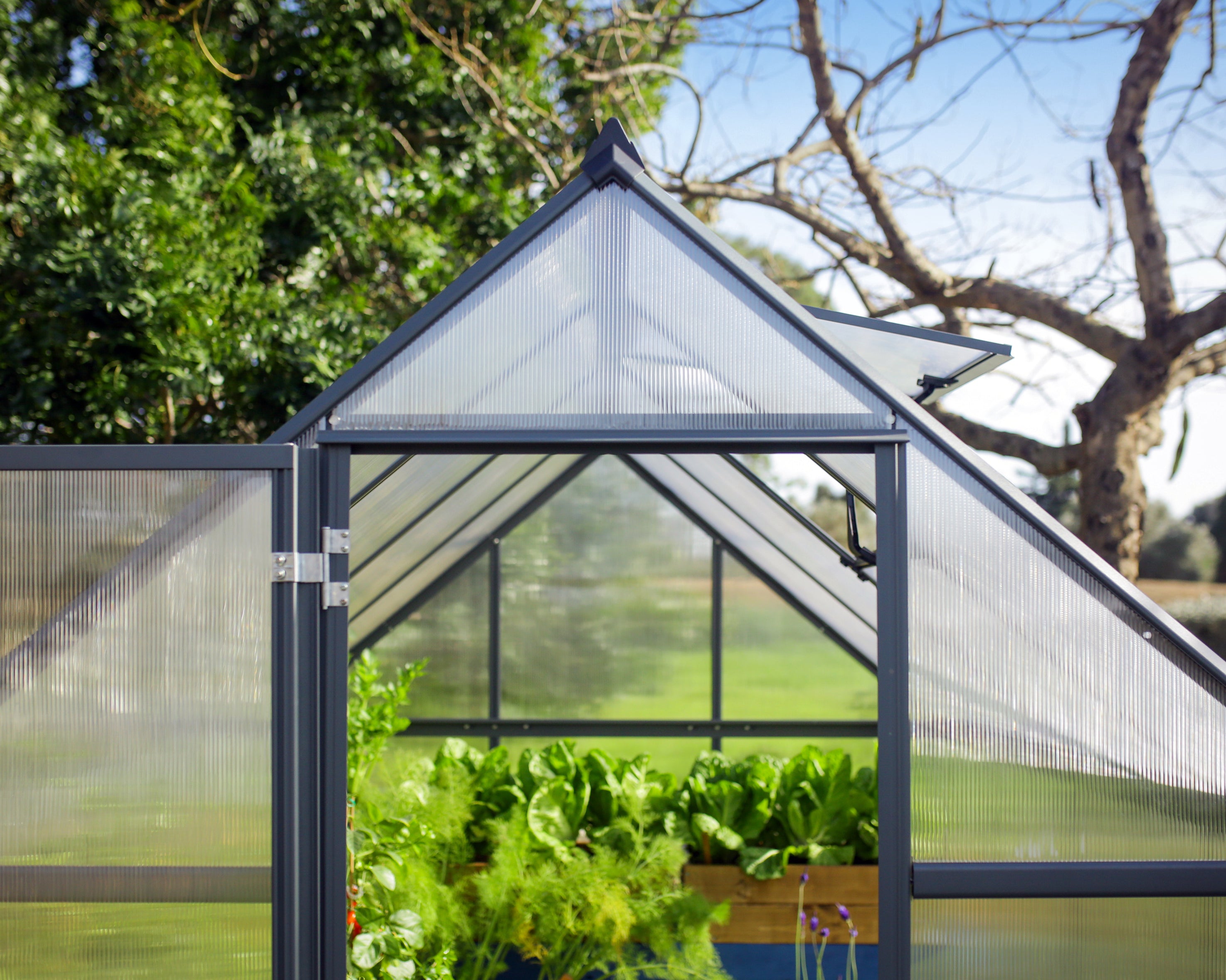Canopia Mythos 6'x8' Greenhouse - Elevate Your Garden | Backyard Oasis