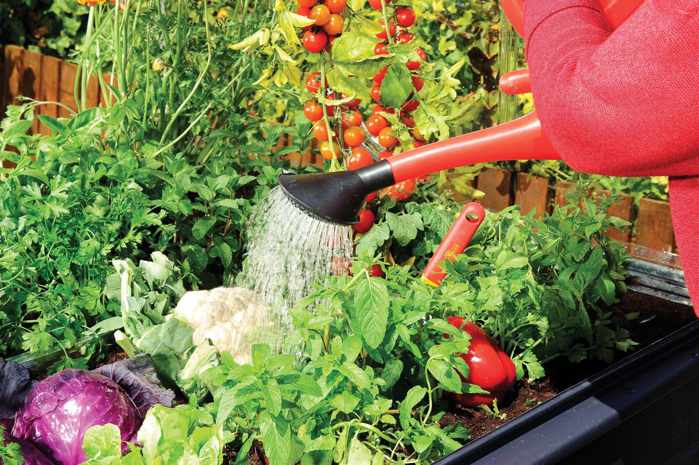 Canopia Plant Inn 4x4 Raised Garden Bed - Your Greenhouse Solution ...