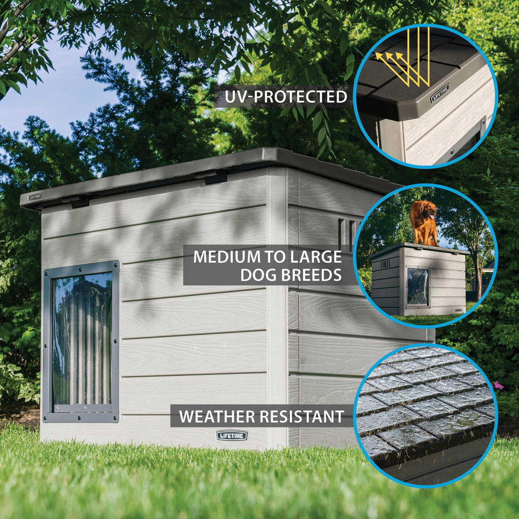 Durable Dog Kennels Collection: Secure Spaces for Your Pet — Backyard Oasis