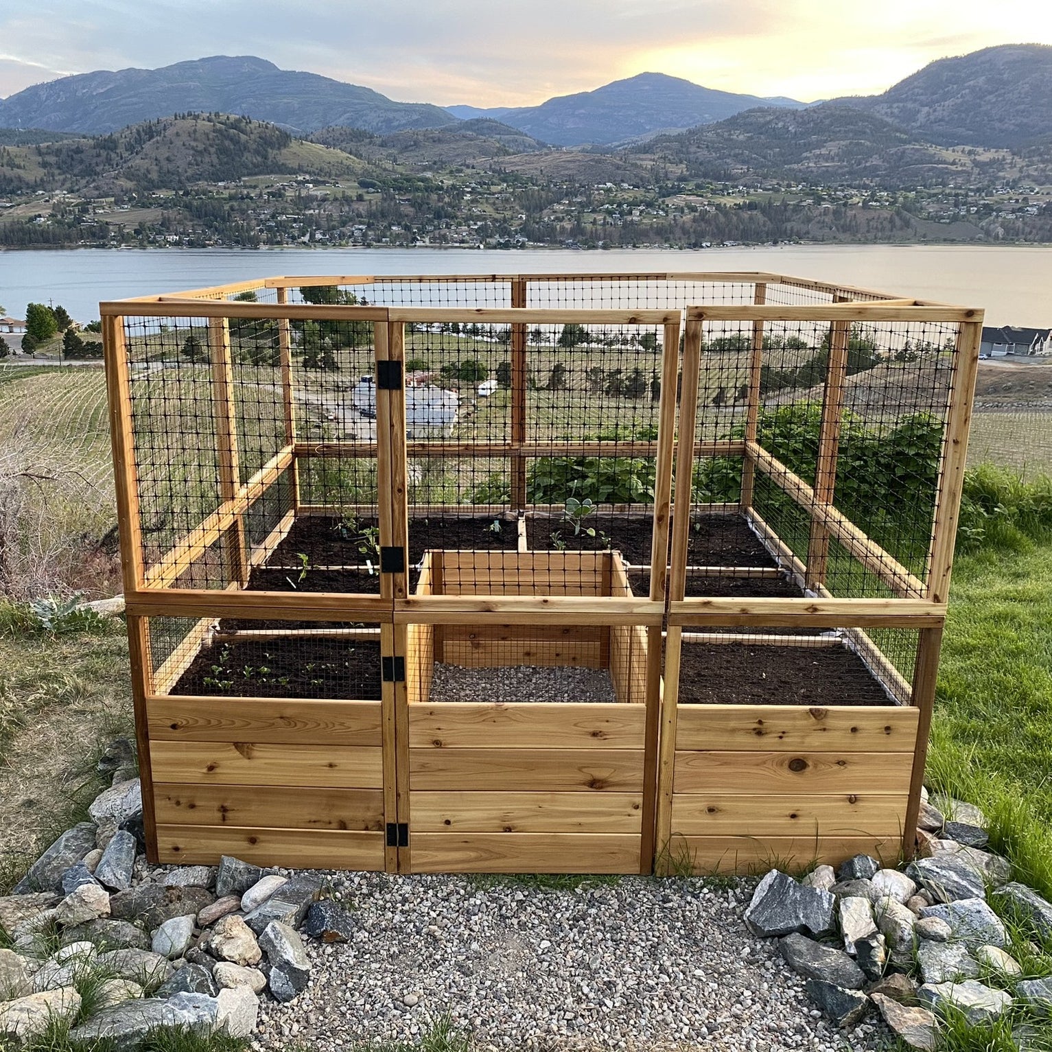 Garden In A Box With Deer Fencing - 8x8 | Organic Solution to Keep Deer ...