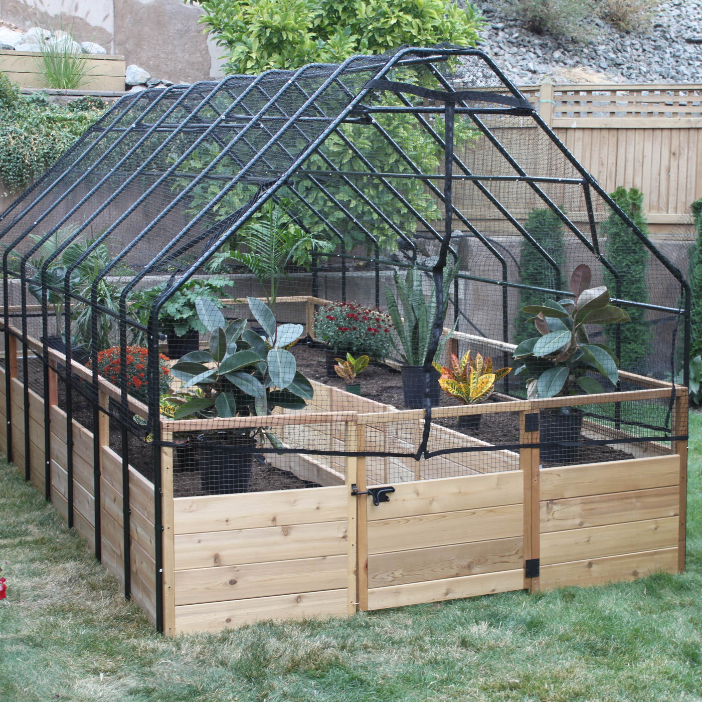 Garden in a Box with Birdnetting | 8x12 - Protect Your Garden Safely ...