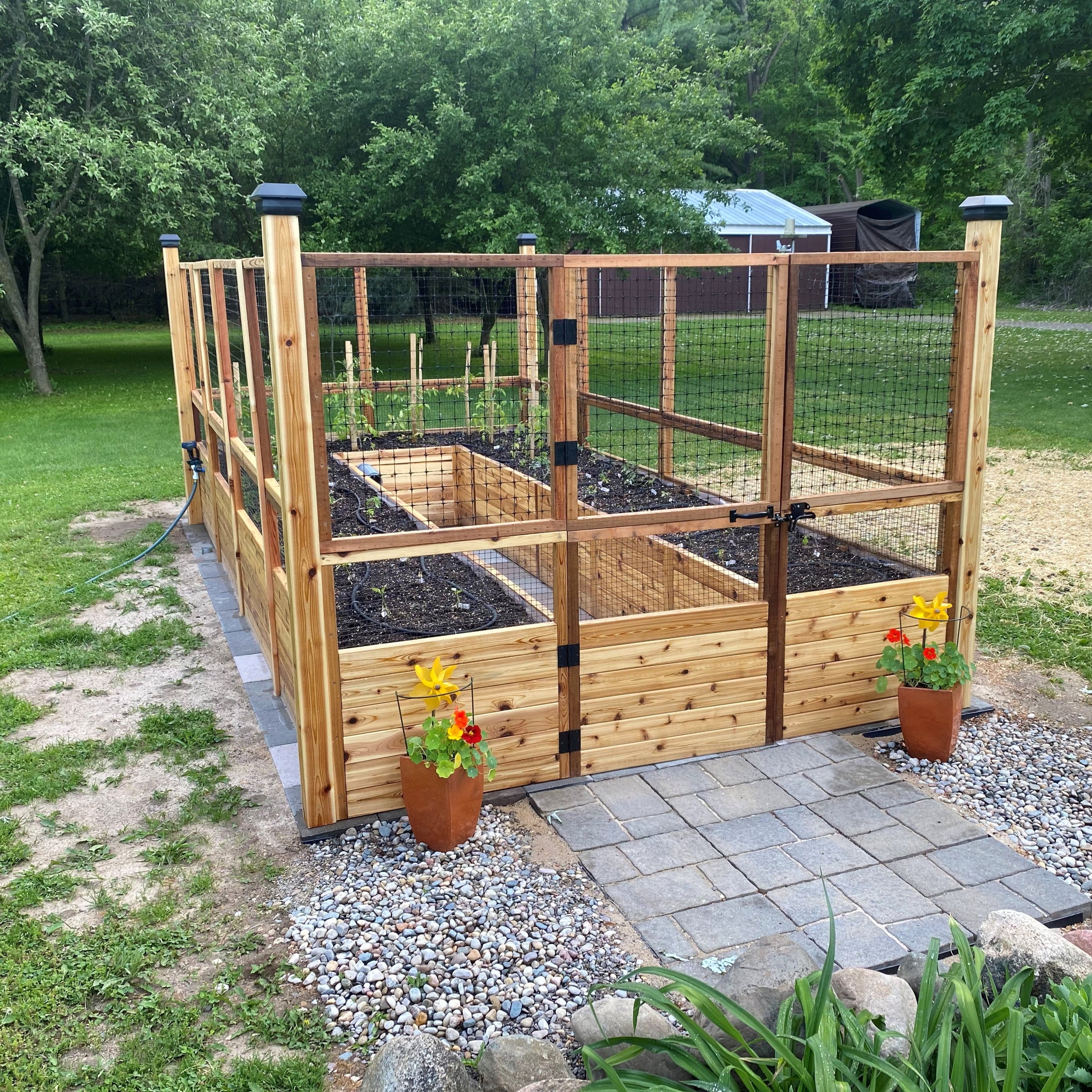 Garden In A Box Kit With Deer Fence | 8 X 16 | Protect Your Crops ...