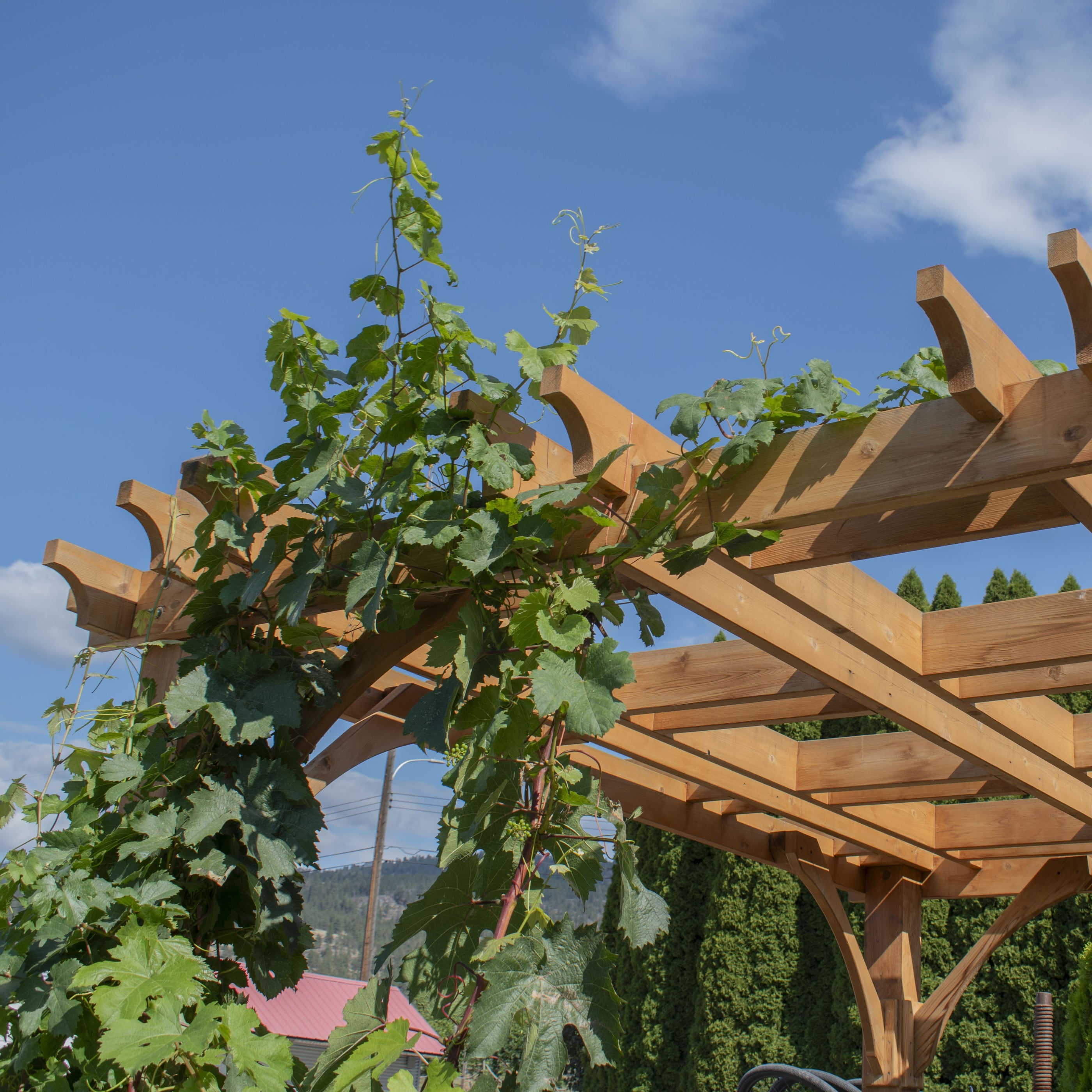 12x12 Cedar Pergola Kit - Enjoy Outdoor Living with Style — Backyard Oasis