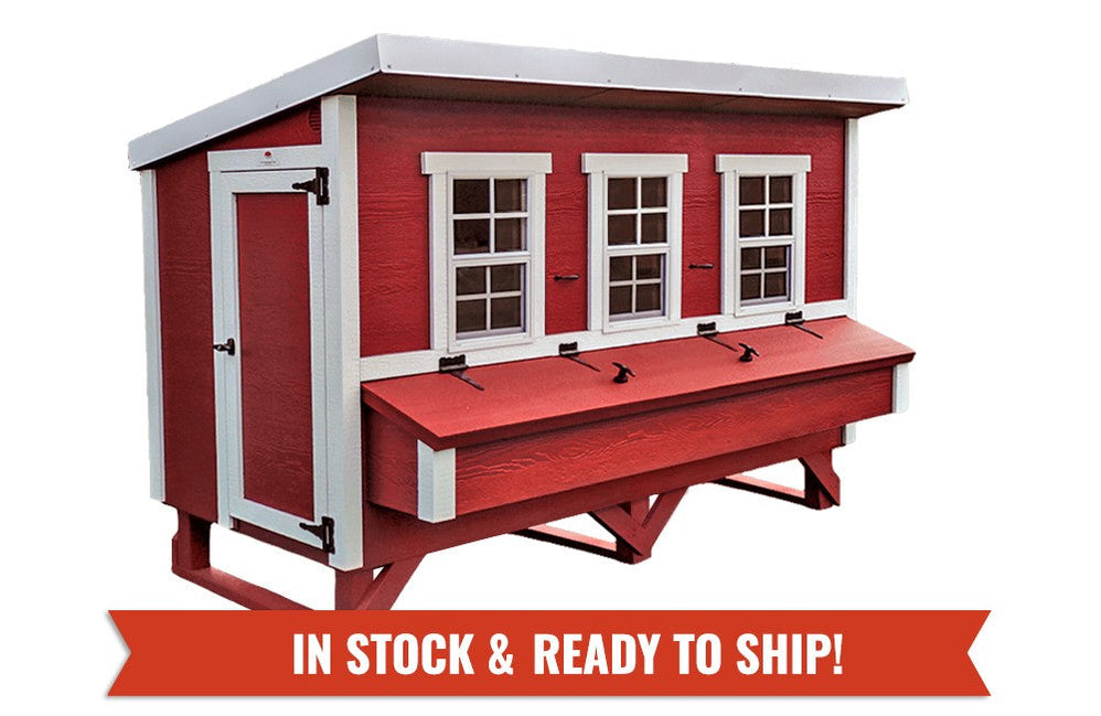 Chicken Coops: Safe Homes for Happy Chickens — Backyard Oasis