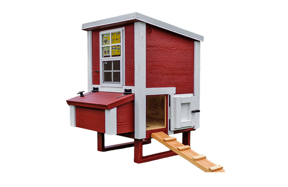 Walk In Chicken Coop: Create a Happy Home for Your Chickens — Backyard ...