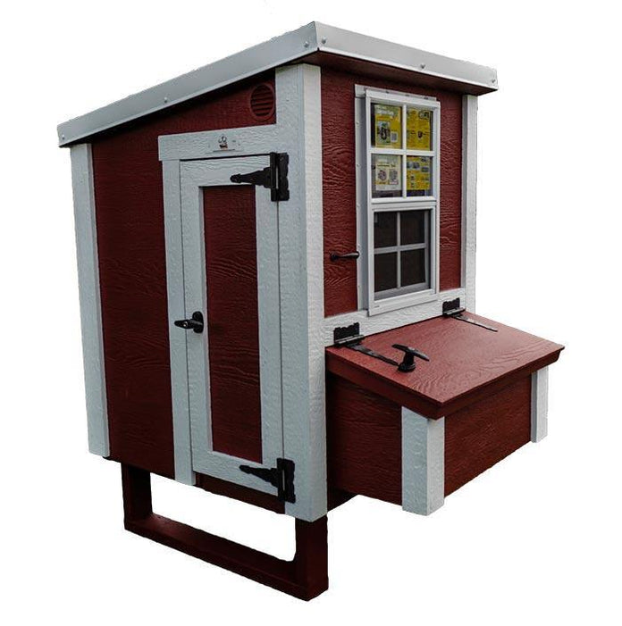 Walk In Chicken Coop: Create a Happy Home for Your Chickens — Backyard ...